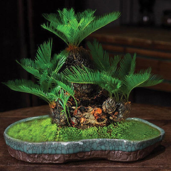 Ultra Shallow Bonsai Pots, Dishes & Slab Pots – Depth Up to 2" (5cm ...