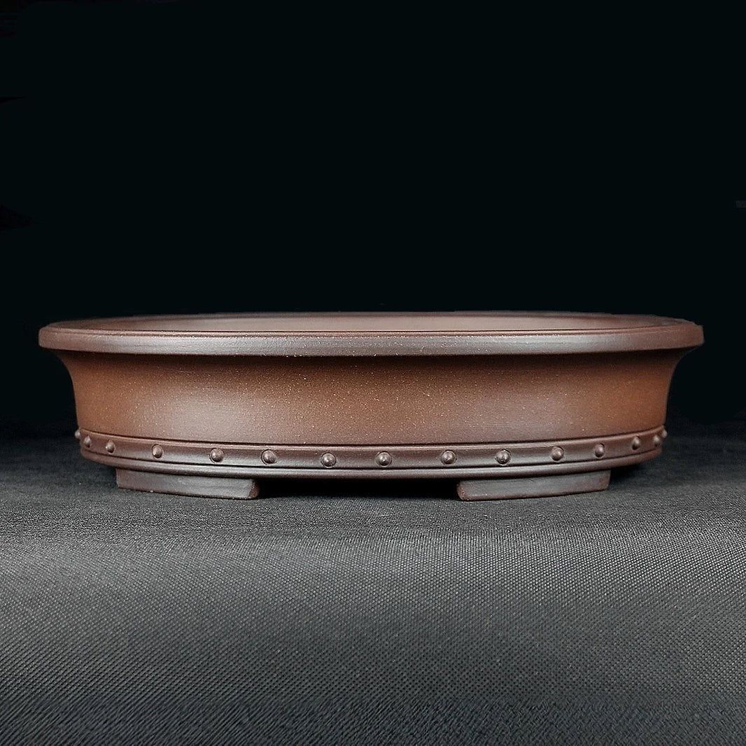Oval Bonsai Pots │ Craft Balanced, and Harmonious Bonsai Displays ...