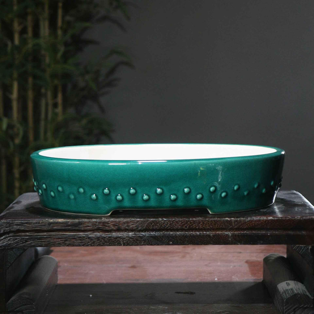 Oval Bonsai Pots │ Craft Balanced, and Harmonious Bonsai Displays ...