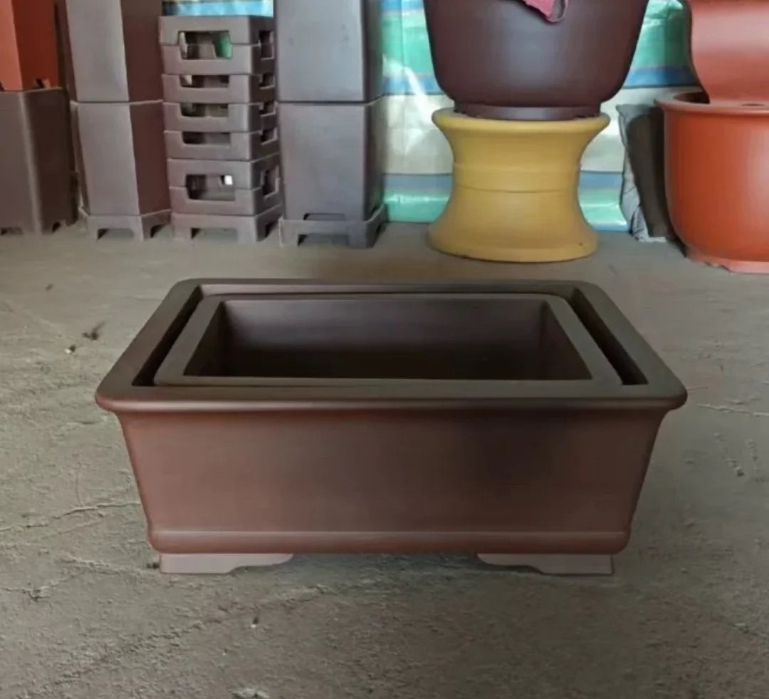 Shop Unique Extra-Large Bonsai Pots Over 18" │ Free Shipping! – Potscape