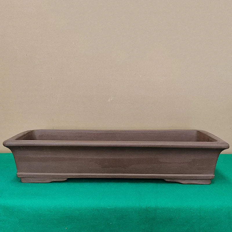 Shop Unique Extra-Large Bonsai Pots Over 18" │ Free Shipping! – Potscape