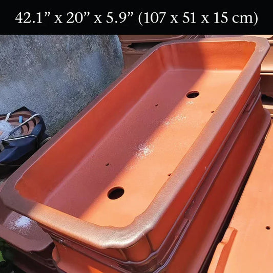 Shop Unique Extra-Large Bonsai Pots Over 18" │ Free Shipping! – Potscape